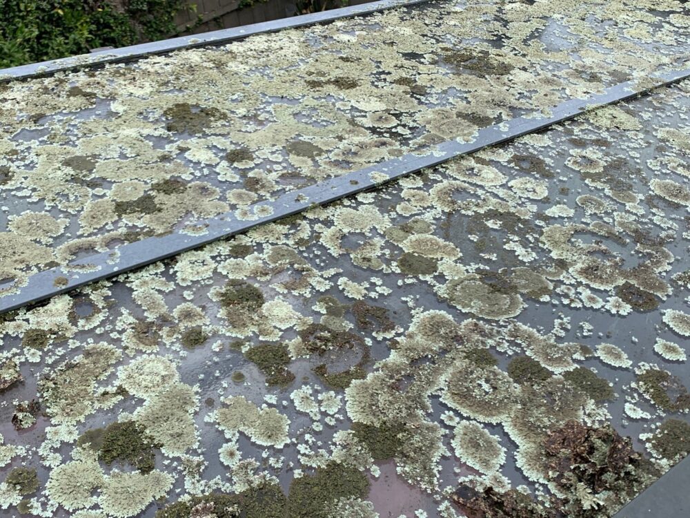 Roof Cleaning, Repair & Maintenance | CleanMade